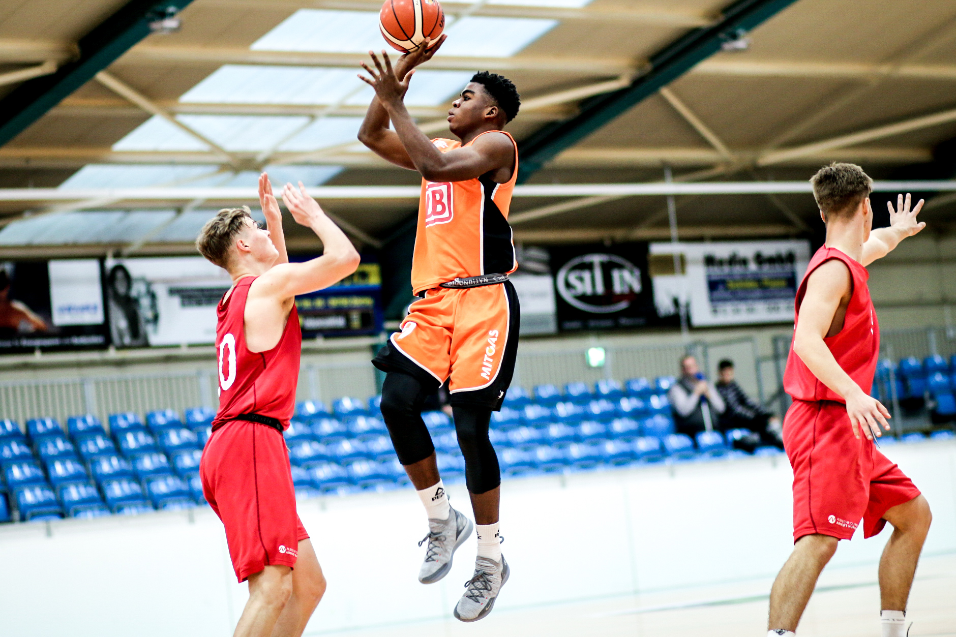 Wölfe-Nachwuchs ist gefordert - MBC