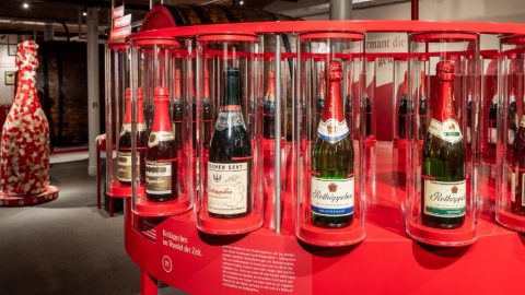 Fanfacts zum VIMODROM TOP FOUR - MBC